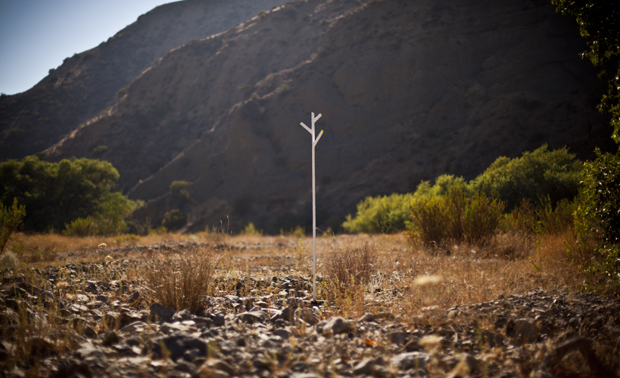 The 4th Tree – Diana Markessinis