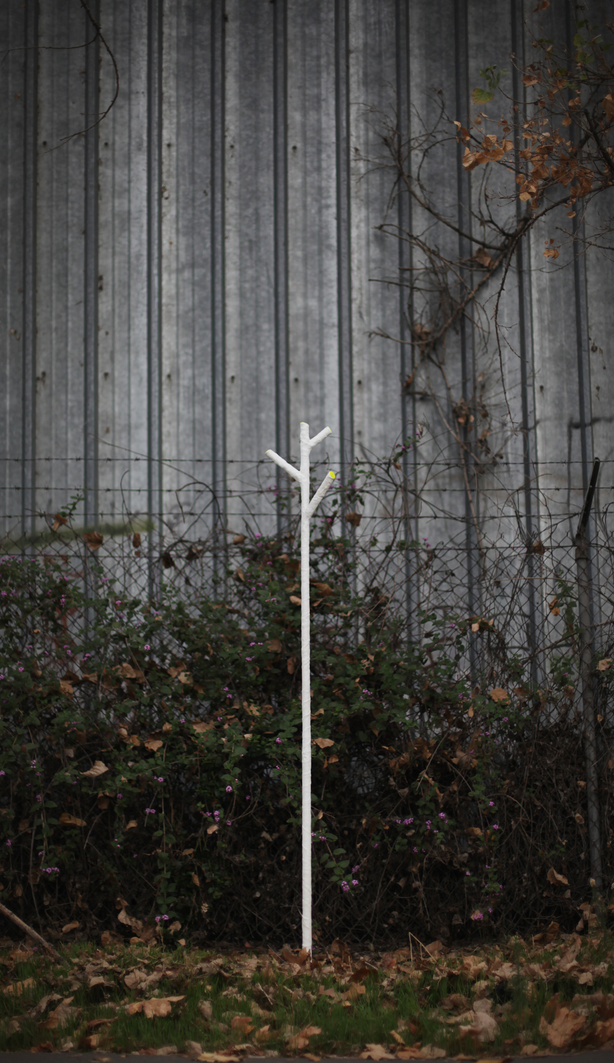 The 4th Tree – Diana Markessinis